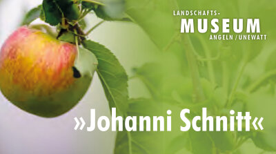 Schnitt Berechnen